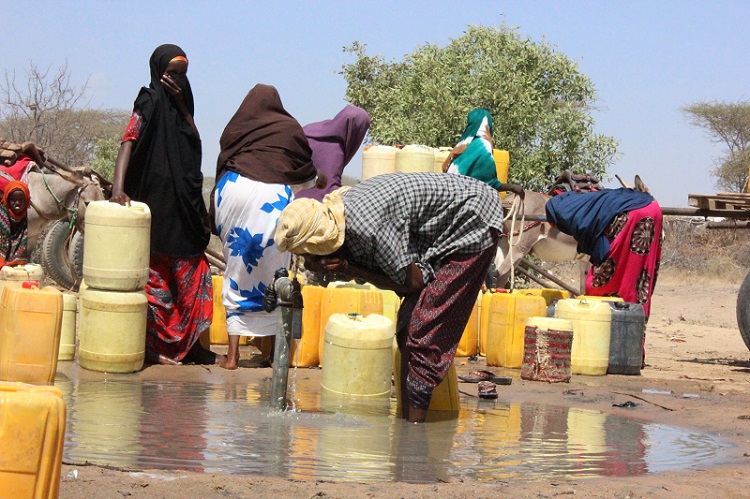 When water is all you need, surviving in Somalia | Somali Observatory ...