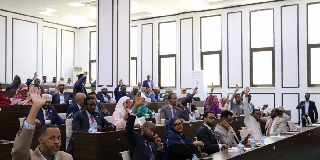 Somali parliament passes crucial higher education legislation - Somali ...