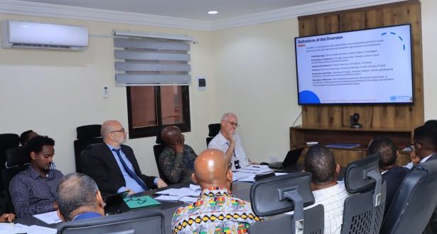 DMA chief meets UN officials to address humanitarian situation in the country - Somali ...